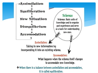 Week 5 Cognitive Development | PPT