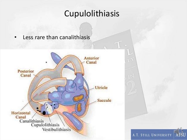 Week 5 elluminate slides