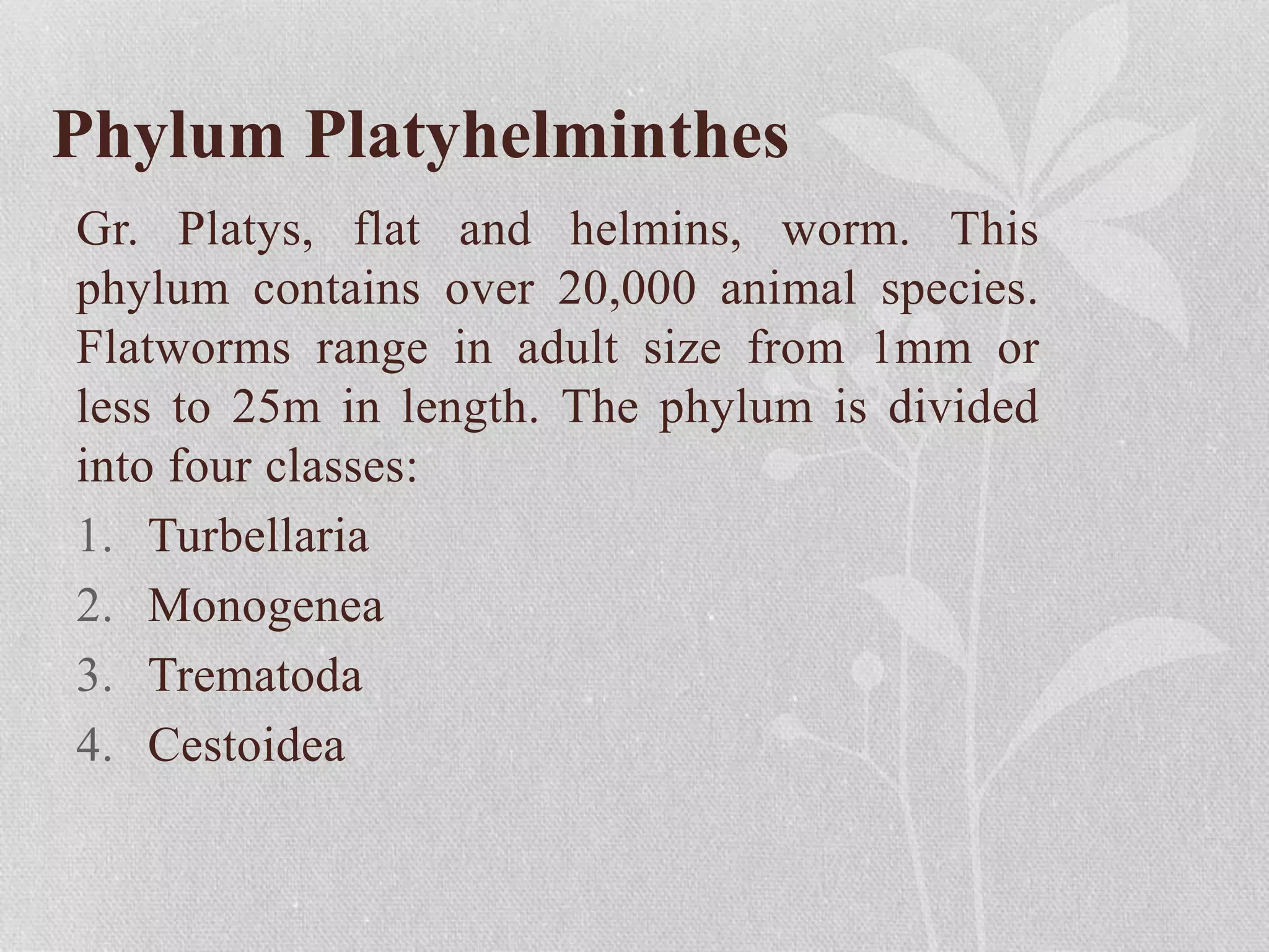 Phylum Platyhelminthes | PPTX