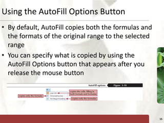 Week 5_Lesson_Working with formulas and Functions.pptx