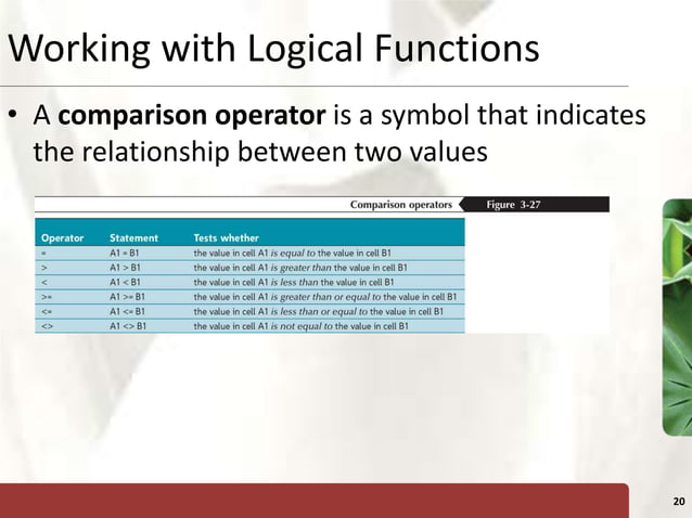 Week 5_Lesson_Working with formulas and Functions.pptx