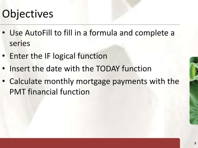 Week 5_Lesson_Working with formulas and Functions.pptx