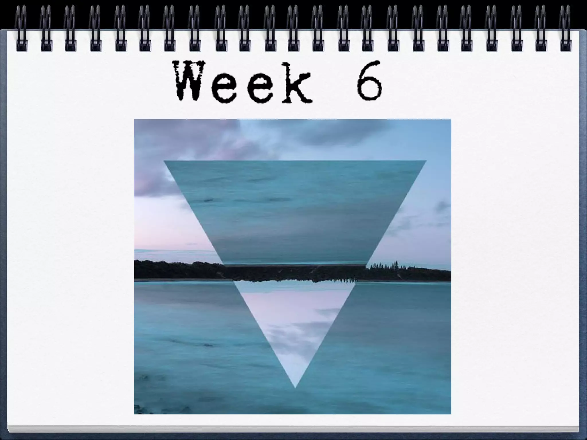 Week 6 | PPT