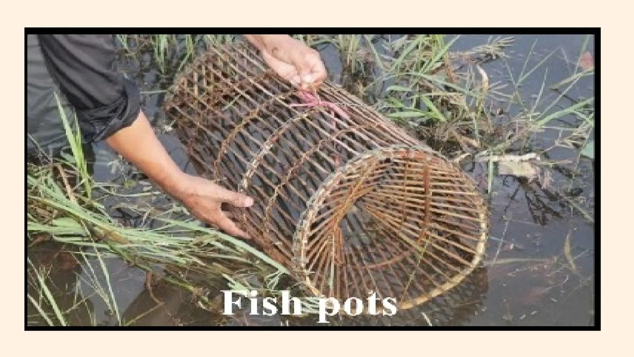 WEEK 6 - FISHING GEARRRRRRRRRRRRRRR.pptx