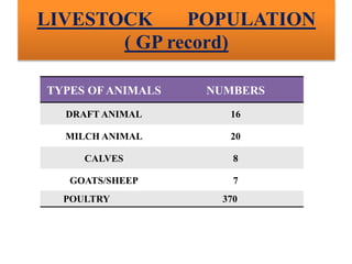 WEEK 6 - MARKET and economics.pptx