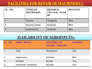 WEEK 6 - MARKET and economics.pptx