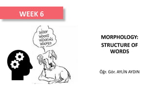 Morphology | PDF