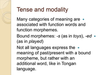 Week 6 tense and modality | PPT