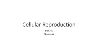 Reproduction of cellular explanation with images and words | PPT | Free ...