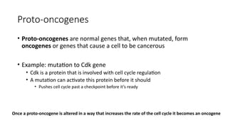 Reproduction of cellular explanation with images and words | PPT