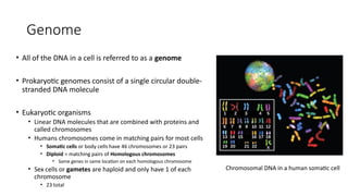 Reproduction of cellular explanation with images and words | PPT