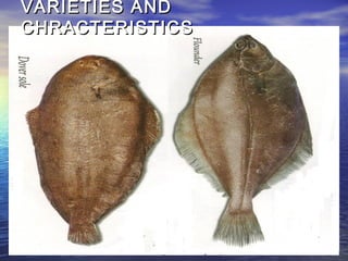 Fish and Shellfish | PPT