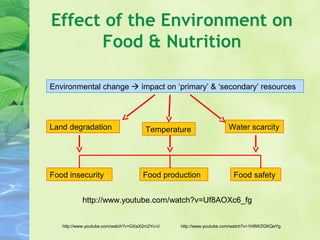 XNB151 Week 6 Food and the environment | PPT