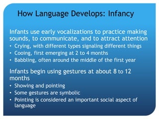 Week 6 Language Development | PPTX
