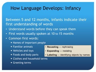 Week 6 Language Development | PPTX
