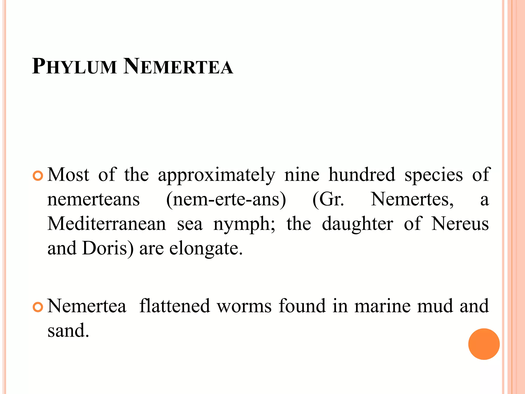 Phylum Nemertea | PPTX