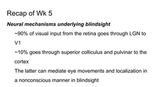 Week 6 neural basis of consciousness neural correlates of consciousness ...