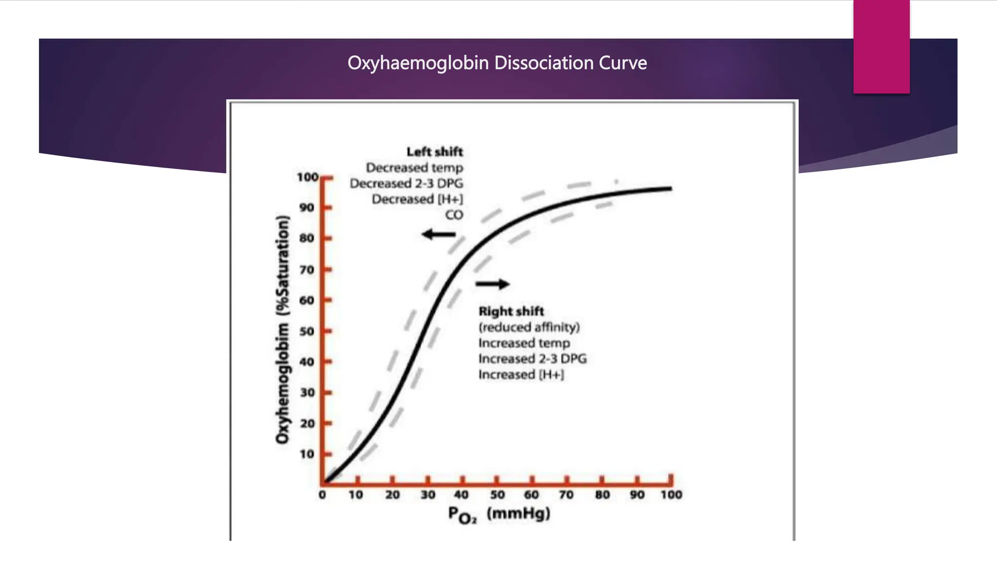 Week6 RBC:an explanation on the process of RBC formation | PPTX