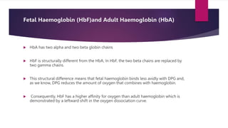 Week6 RBC:an explanation on the process of RBC formation | PPTX