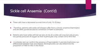Week6 RBC:an explanation on the process of RBC formation | PPTX