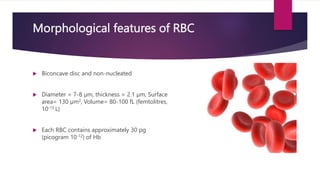 Week6 RBC:an explanation on the process of RBC formation | PPTX
