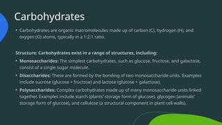 The Role of Macromolecules in Living Systems.pptx