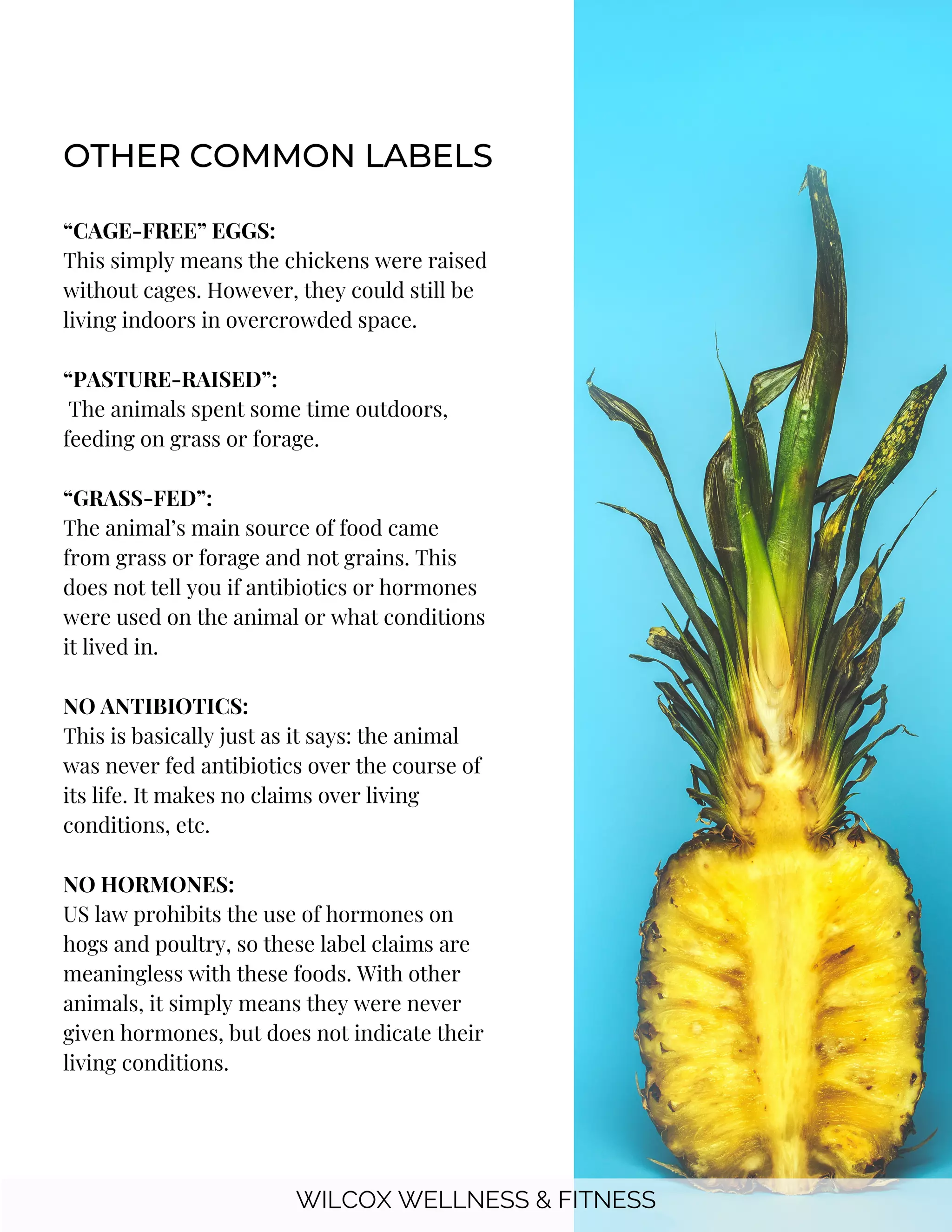 Cracking the Food Label Code | PDF