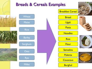 XNB151 Week 7 Breads & cereals, fruits and vegetables | PPT