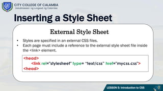 Fundamentals of Cascading Style Sheet for Web Design | PDF