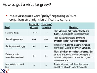 Week 7 methods to study viruses & cht 26 nervuos system(2) | PPTX