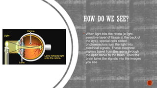 Grade 10 Science - The Human Eye Analysis | PPTX