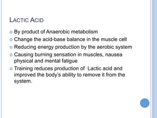 Week 7 anaerobic and aerobic energy systems | PPTX