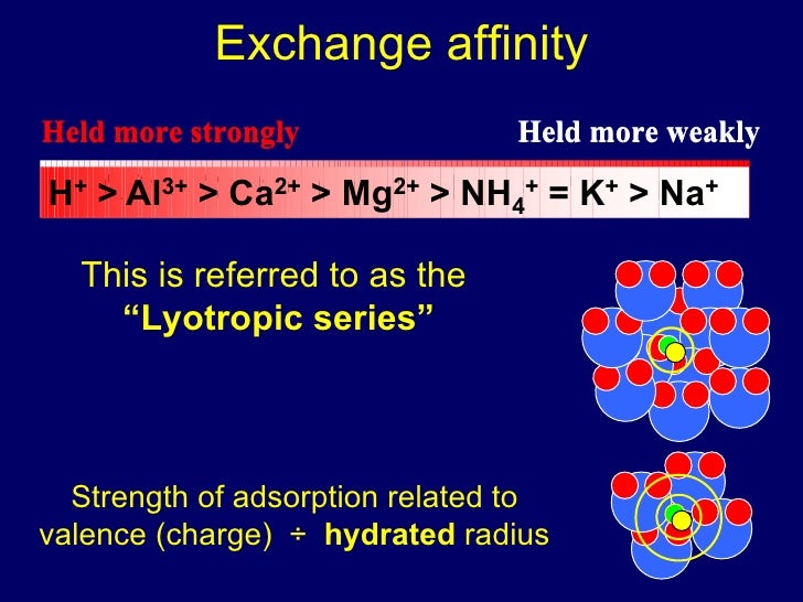Week 7 Clay And Ion Exchange (1)