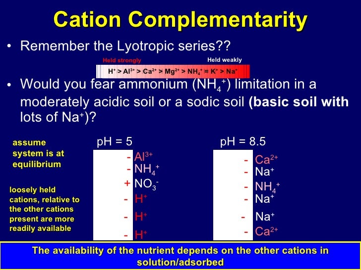 Week 7 Clay And Ion Exchange (1)