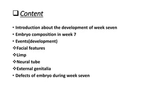 Week 7 embryo development .pptx