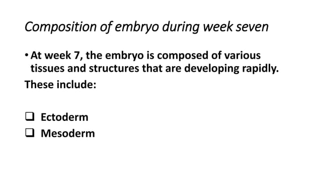 Week 7 embryo development .pptx