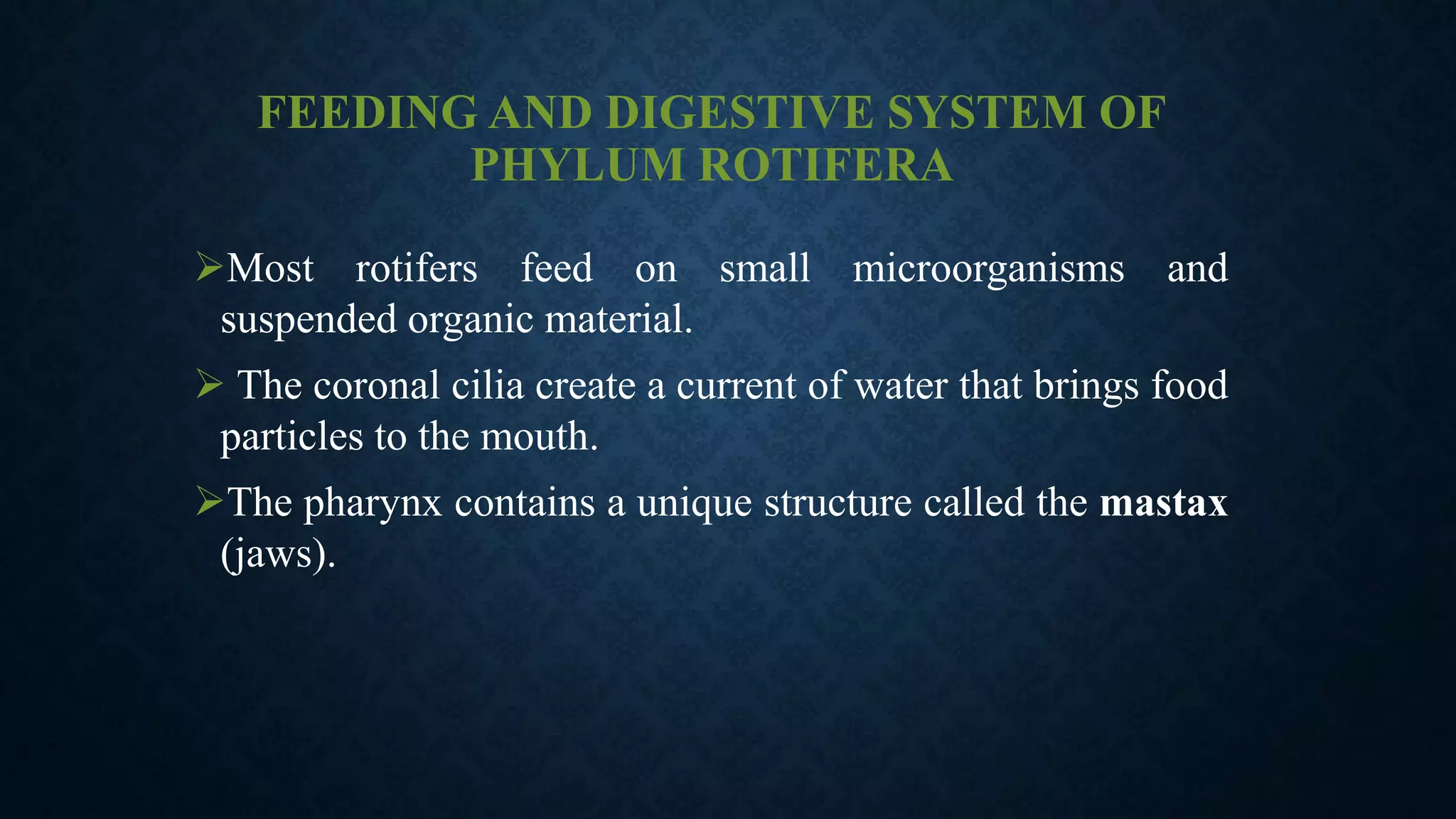 PHYLUM ROTIFERA | PPTX