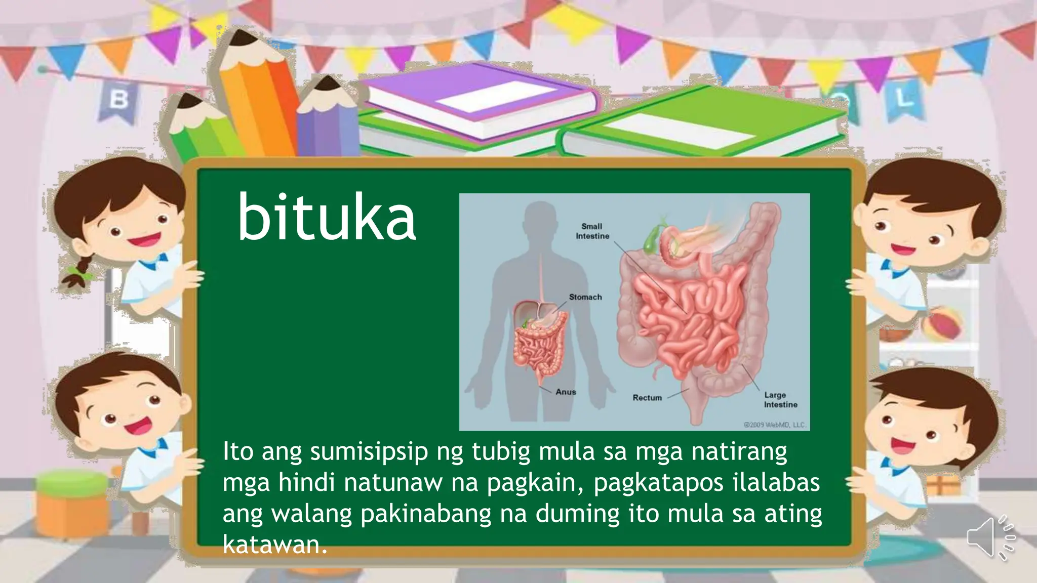 week 7 mga bahagi ng katawan ( internal ).pptx