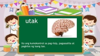 week 7 mga bahagi ng katawan ( internal ).pptx