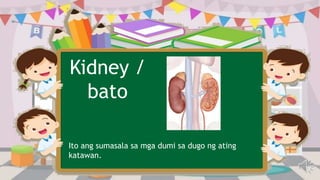 week 7 mga bahagi ng katawan ( internal ).pptx