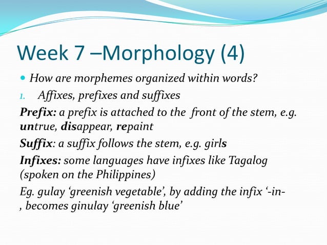 Week 7 –morphology (part 4) | PPTX | Geology | Science