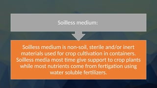 week seven nursery management practice p | PPT