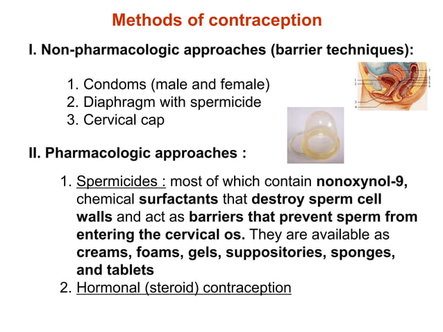 Week 7 objective | PPT