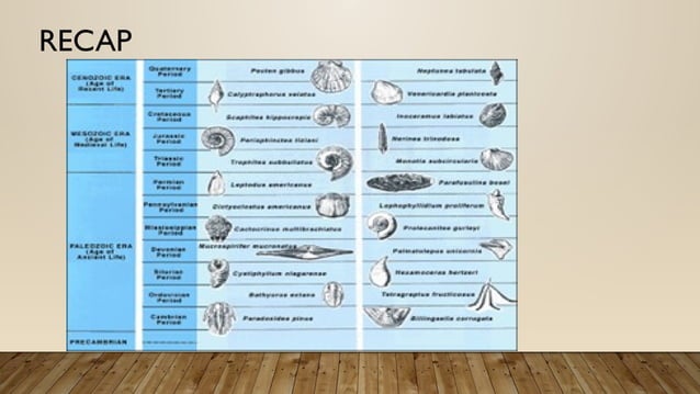 Geological time scale module week 8 shss | PPTX