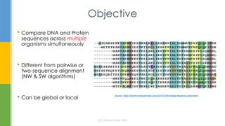 Week8-Multiple---Sequence-Alignment.pptx