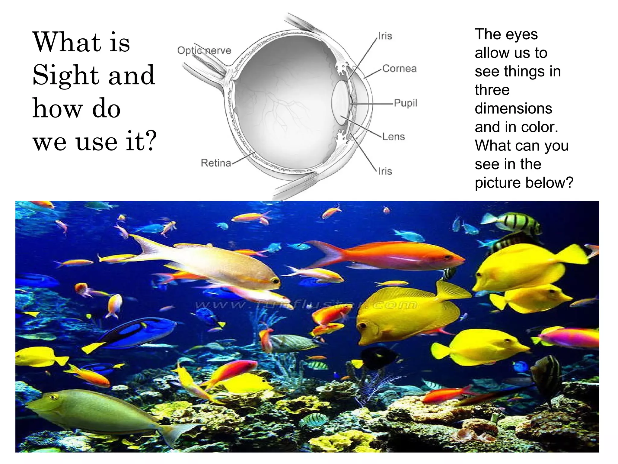 Week8 assignment | PPT