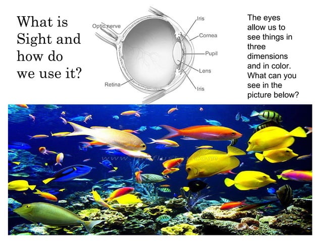 Week8 assignment | PPT