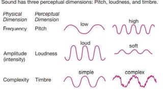 AUDITION and its components and sensory organs.pptx