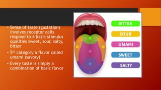 AUDITION and its components and sensory organs.pptx