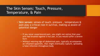 AUDITION and its components and sensory organs.pptx